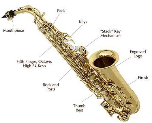 SUZUKI MCSA 1 | Saxofony alt | muzikant.cz Eshop